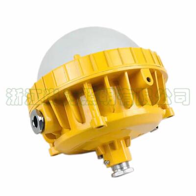 SW7151LED泛光灯 大功率LED泛光灯 SZSW7151节能泛光灯