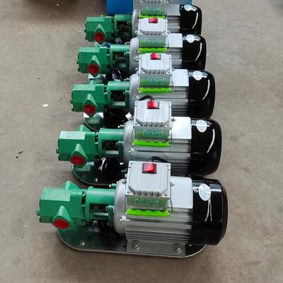 航源WCB-50手提齿轮泵304不锈钢电动抽油泵便携式油泵220V/380V