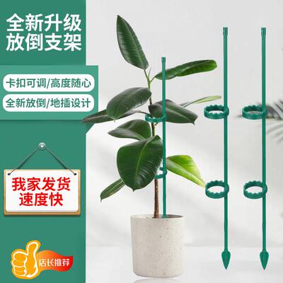 植物支伸缩杆兰花护叶枝龟背芋海芋专用园艺扶持架花卉防倒伏固定