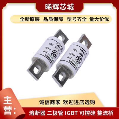 现货FWX-60A FWX-80A 型号齐全 标准封装巴斯曼直流快速熔断器