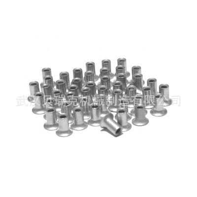 RIVET自冲铆枪，RIVET自冲铆接机、RIVET SPR