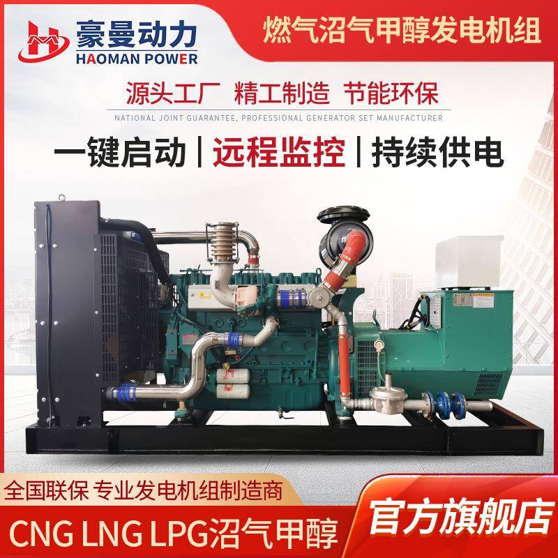 燃气发电机组150KW天燃气甲醇发电机养殖场备用120KW沼气发电机组
