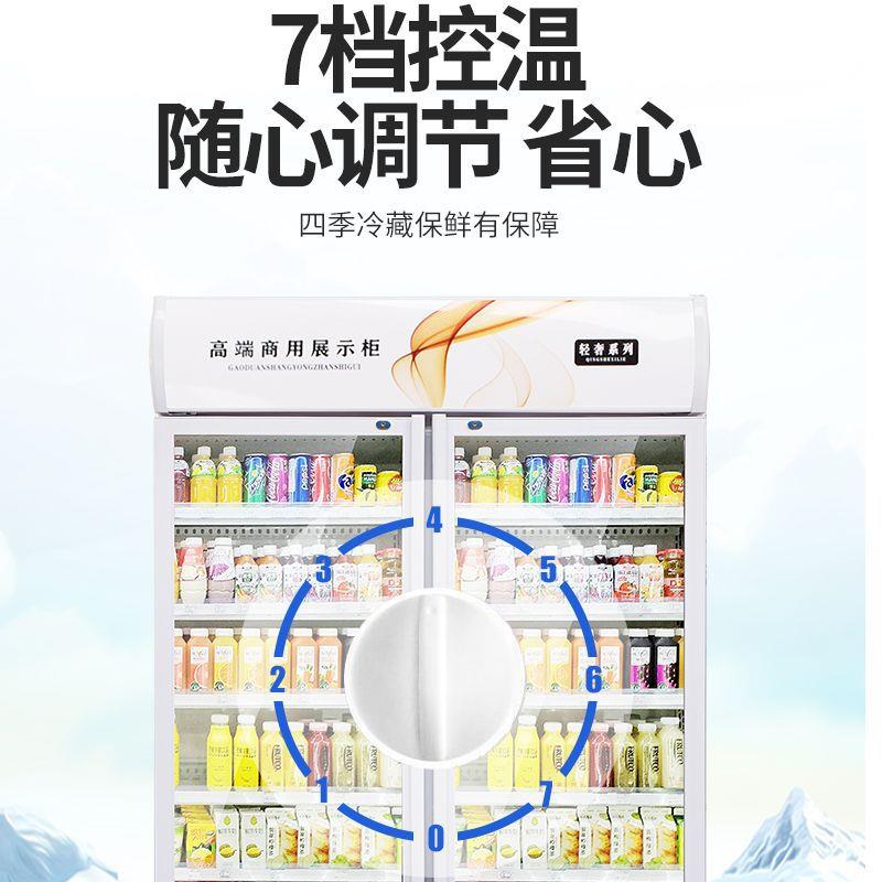 啤酒柜冷展藏柜立式商用冰箱门保鲜柜饭店超市冷柜双单691门饮示
