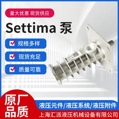 Settima 赛特玛 液压泵 液压系统电动油泵铸钢液压泵现货定制