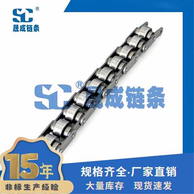全碳钢BS25-C212A2.5倍速链条重载倍速输送链节距8.1