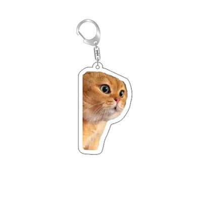Rambling Goat Huh Cat Meme Keychain Confused Cat Memes Cat S