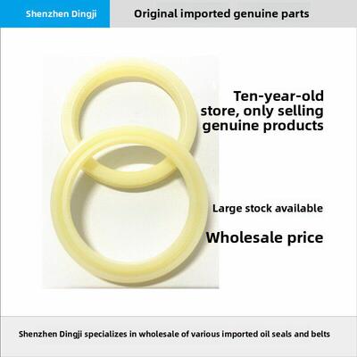 进口日本Nok油封圈Lisi180 190 200 210 220 230 240 250 12