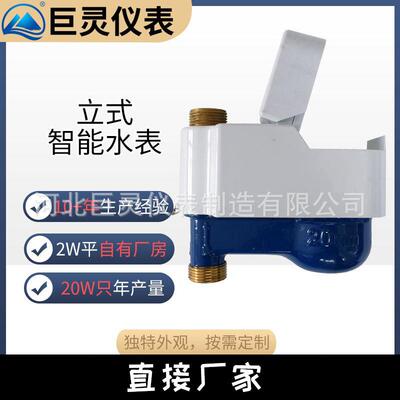 立式远传水表 RS485/MBus输出nbiot/LoRa无线远传均可 上进水下出
