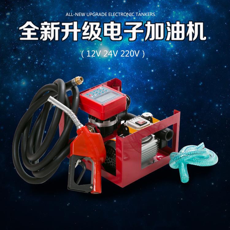 柏芮特12V24V加220V计油泵电动抽柴量DL-60定油油泵定价定量车载