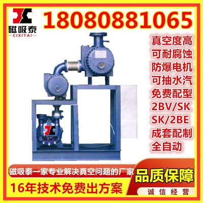 罗茨真空机组真空压榨罗茨水环真空泵机组JZJ2S300-2.1真空机组