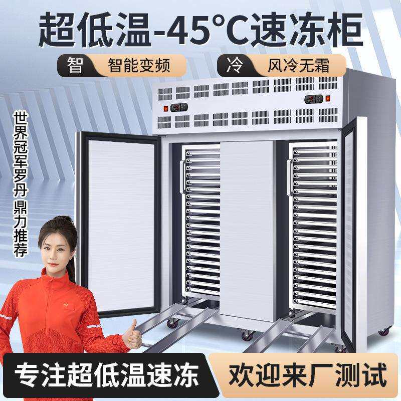 德菱仕速冻柜商用速冻冷柜零下45度急冻柜插盘包子饺子海参速冻机