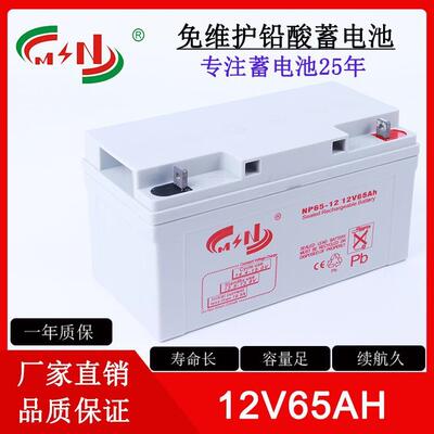 12V65Ah铅酸蓄电池备用电源AGM蓄电池太阳能储能免维护铅酸蓄电池