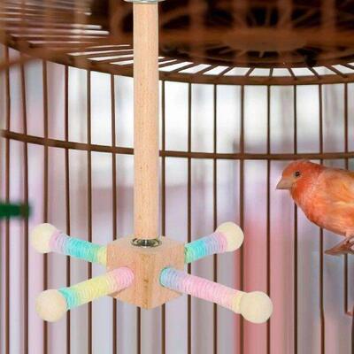 Bird Stand Perch Toy Parrot Perch Sturdy Interactive Wooden