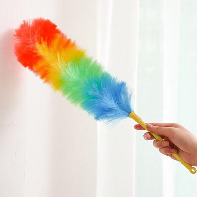 Internet celebrity household feather duster, car dusting Zen