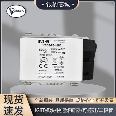 170M5458 170M5459 170M5460 170M5461 170M5462熔断器保险丝现货