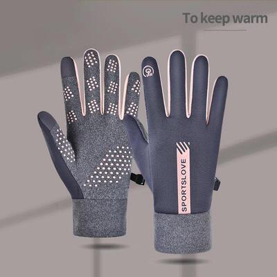 Wholesale Cross-border Autumn and Winter Warm Gloves for Men