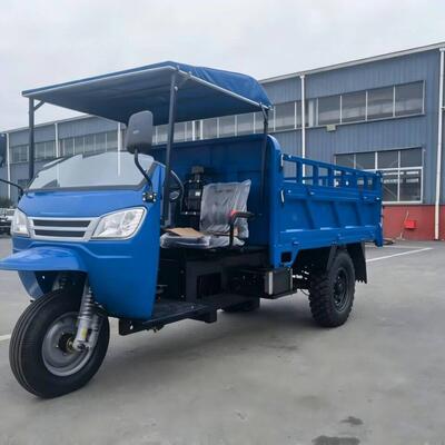 Gambia Diesel Vehicle 农用自卸柴油三轮车 外贸出口翻斗车
