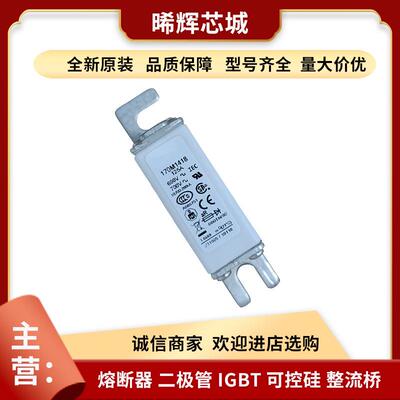 170M1418170M1416电子元器件库存充足巴斯曼直流快速熔断器