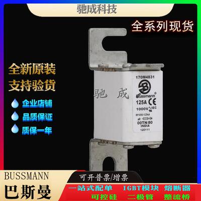 巴斯曼170M4831 170M4832 170M4833 厂家原装价优 快速保险丝