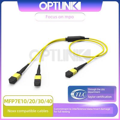 Mfp7E10 10m Mpo12核心Apc单多模光纤跳线100Gbps高速传输兼容设备