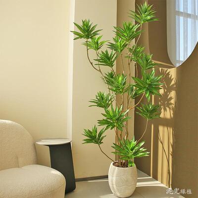 室内仿真植物百合竹大盆栽落BHZ002地装饰绿型酒植店民宿假大堂造