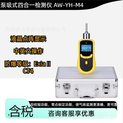 气体浓度检测仪COH2SO2EX四合一气体检测仪泵吸式浓度测试仪