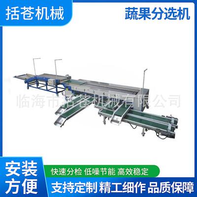 2022新款圣女果分级机  热销平度釜山88 滚杠分选机