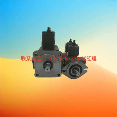 台湾ANSON安颂油泵叶片泵IVP32-30-21AM-F-R-86AA-11全新现货