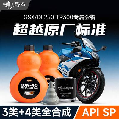 GSX250/DL250/TR300嘴上马力摩托车机油保养套装套餐