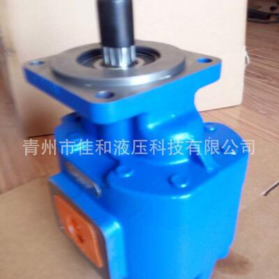 P7600-F100N03676G泊姆克齿轮油泵供应压路机工作泵供应