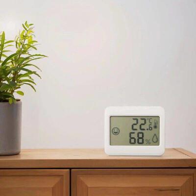 Electronic Thermometer And Hygrometer Mini Thermometer And