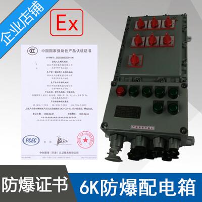 浙江中沈BXMD58防爆开关箱XDMB58-6K防爆照明动力配电箱ExdeIIBT4