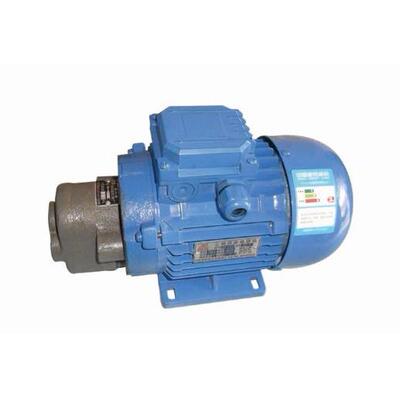 齿轮泵CBW-4JZ CBW-6JZ CBW-10 CBW-16插入式齿轮油泵电机组装置