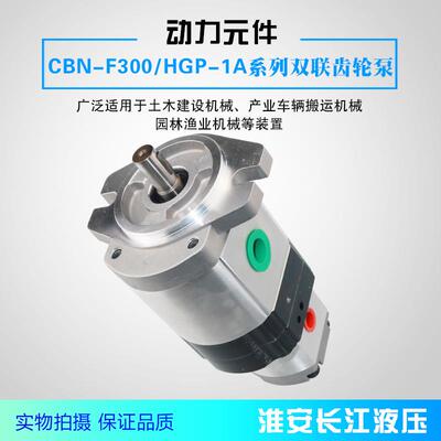 CBN-F300/HGP-1A系列双联齿轮泵高效液压油泵厂家直发现货长江