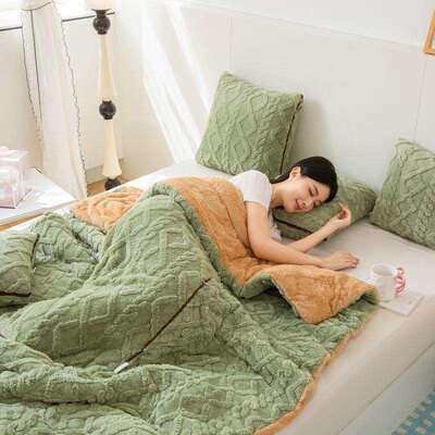 季厚塔芙蓉绒抱枕厂家直供被子两用可冬爱靠加枕二汽合一午睡枕头