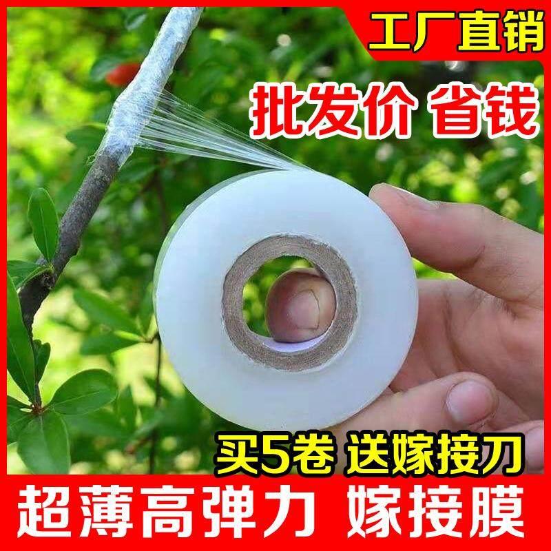 防水保湿透明贴合嫁接带嫁接膜PE薄膜自粘式无需打结园林果树嫁接