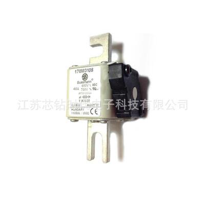 170M3108 170M3109 170M3110 巴斯曼BUSSMANN熔断器保险丝