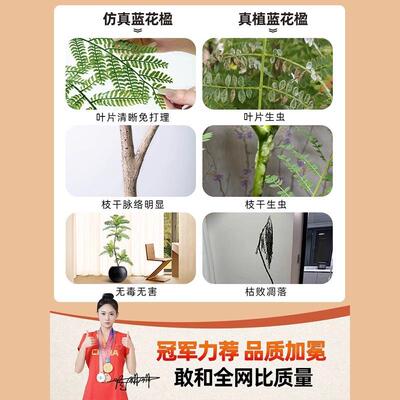 仿真植内蓝花楹落地栽仿8.26蓝花盆生植物摆件室客厅沙发绿旁装饰