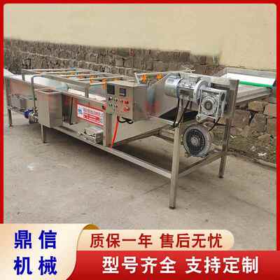 锈果钢 不水清洗设备 蔬菜连续清洗线 果蔬全自气泡动DVH清洗机