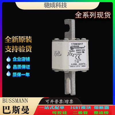 巴斯曼170M3016 170M3017 170M3018 厂价直销质优价廉 快熔保险丝
