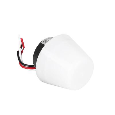 CNRIYA全自动光控路灯开关防雨防尘ASB2210T光控器控制器