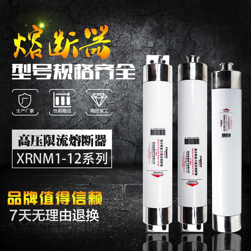 XRNM1-12KV/63A100A电动机保护用高压限流熔断器
