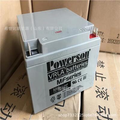 复华蓄电池MF12-100房车太阳能板储能12V100AH铁塔机房后备储能