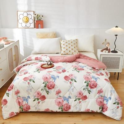 南里外全棉春棉花被DNY41229加厚冬被棉絮垫被褥纯子棉通秋被子双