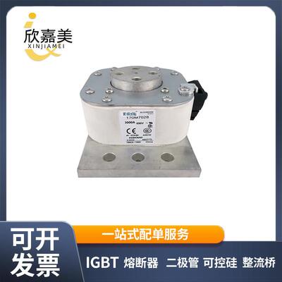 170M7028 170M7031 快速熔断器 保险丝 电子元器件 量大价优