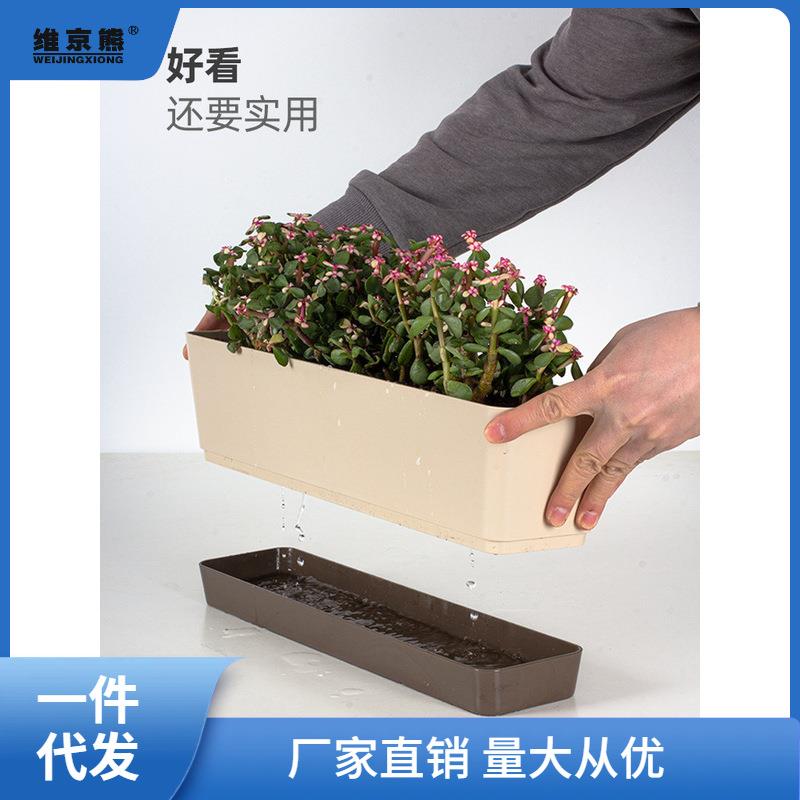 多肉花盆长条型窄边细长窗台种植塑料阳台花盘花槽盆栽家西辰