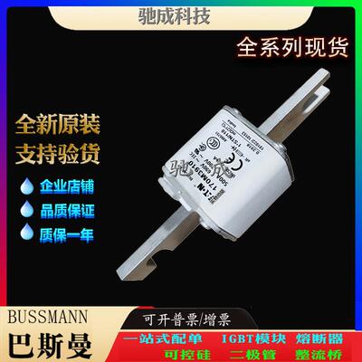 巴斯曼170M3921 170M3922 170M3923 厂家供货销售 快熔保险丝