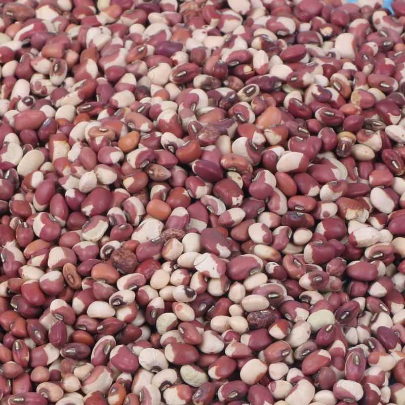 花豇豆江豆散装煮粥配料材料新鲜豆类杂粮五谷煲粥食材姜豆红豇豆