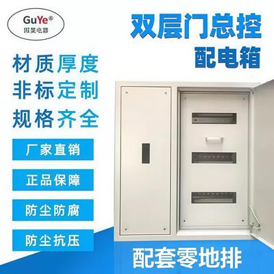 双层门总控加空开漏电配电箱定做照明动力电气柜C45100A不锈钢304