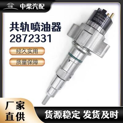 燃油共轨喷油器 2872331 燃油系统使用喷油器